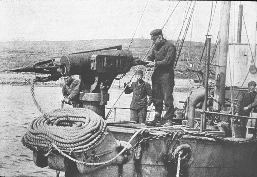 THE BRITISH WHALING INDUSTRY | Explore Your Genealogy